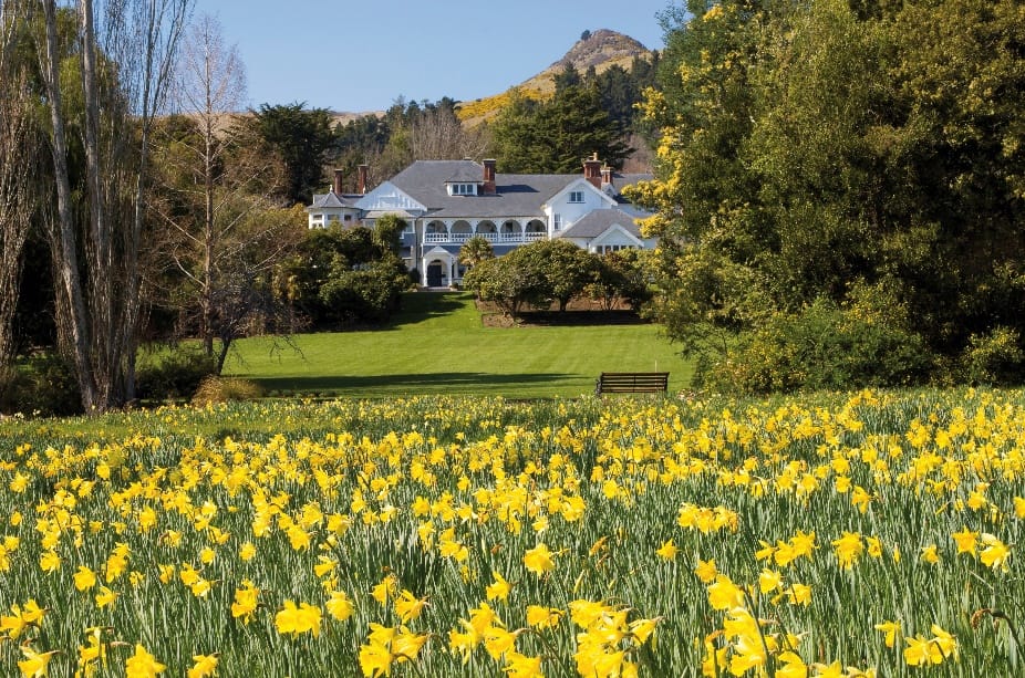 New Zealand’s spring months set a unique tone for enticing outdoor ...