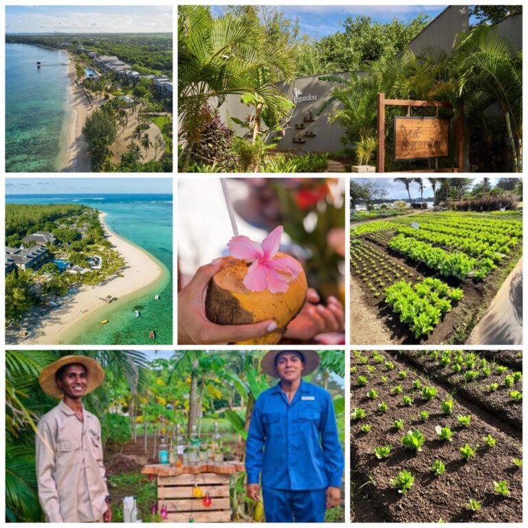 Marriott International properties redefining Sustainable