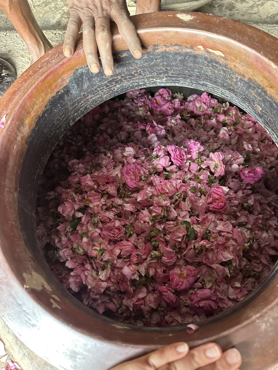 Kannauj: India's perfume capital weaves a fragrant legacy