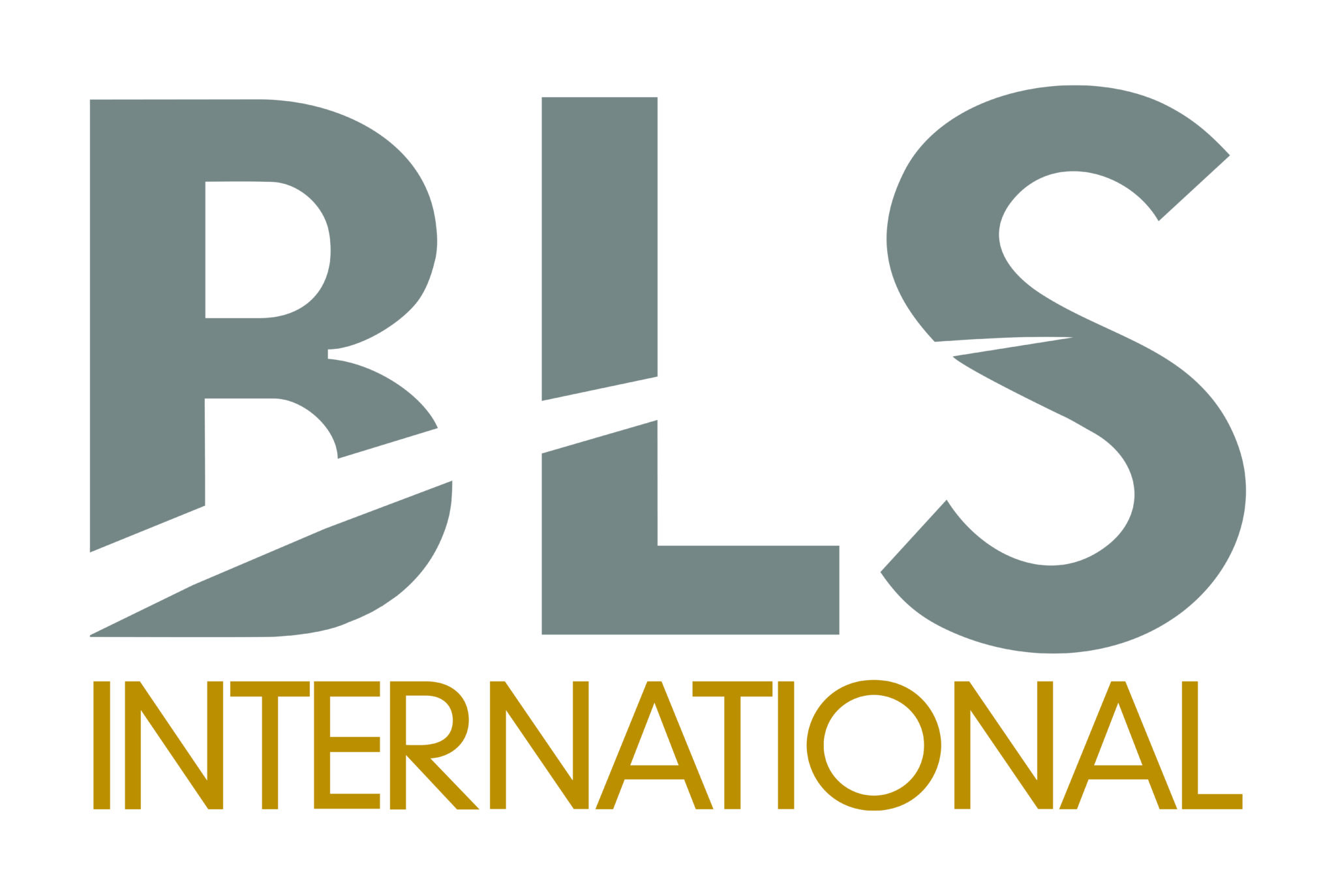 BLS International – Logo | Travel News l Tourism News India | Travel ...